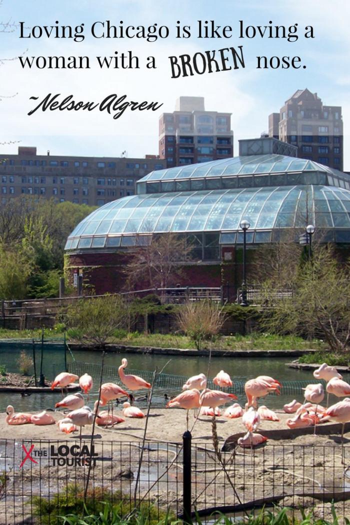 Chicago Quotes - Your Chicago Guide