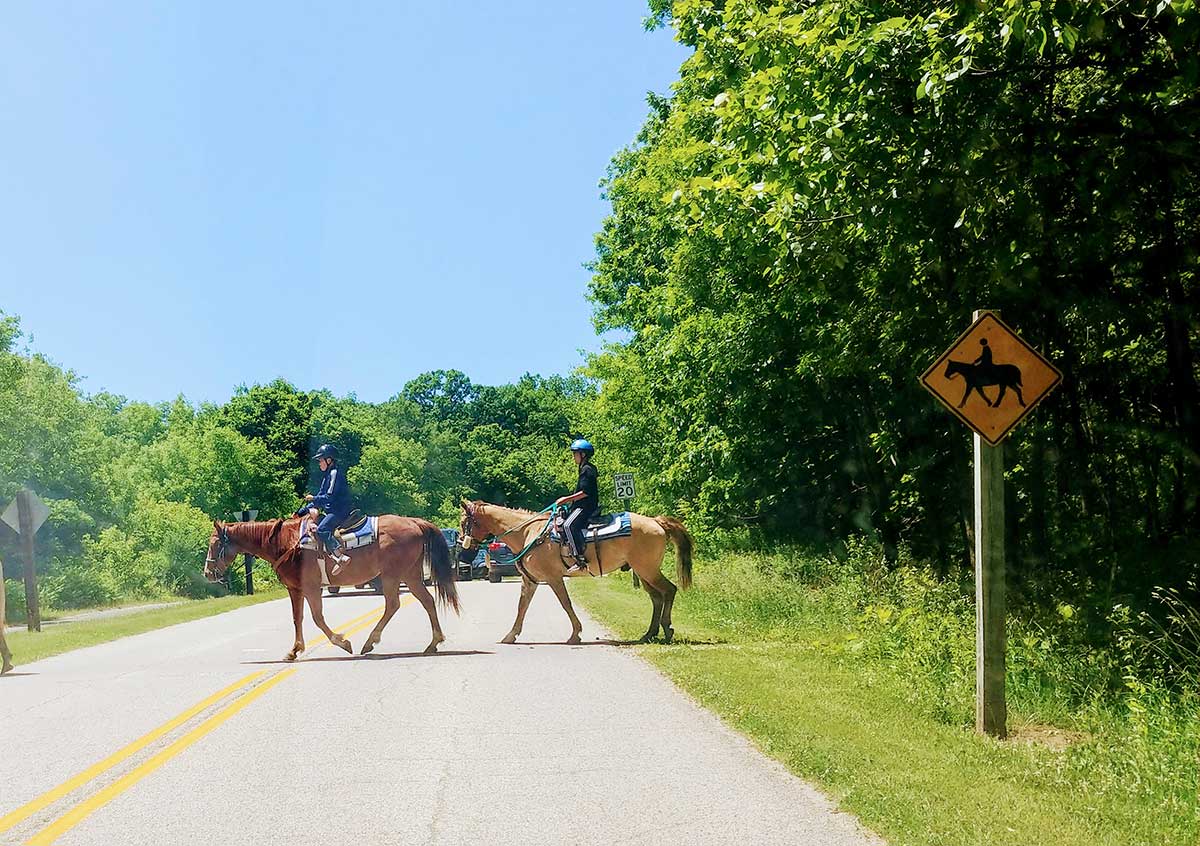 7 Awesome Places to Go Horseback Riding in Chicago - Your Chicago Guide